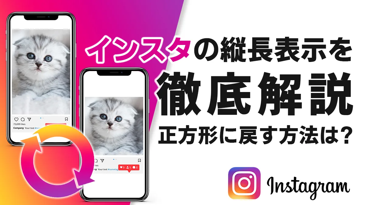 インスタ縦長の比率は？サイズや推奨解像度＆カメラアプリでの編集方法 | NOIKISUまとめ
